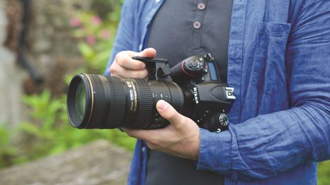 Better bird photography: freeze birds in flight with fast shutter ...