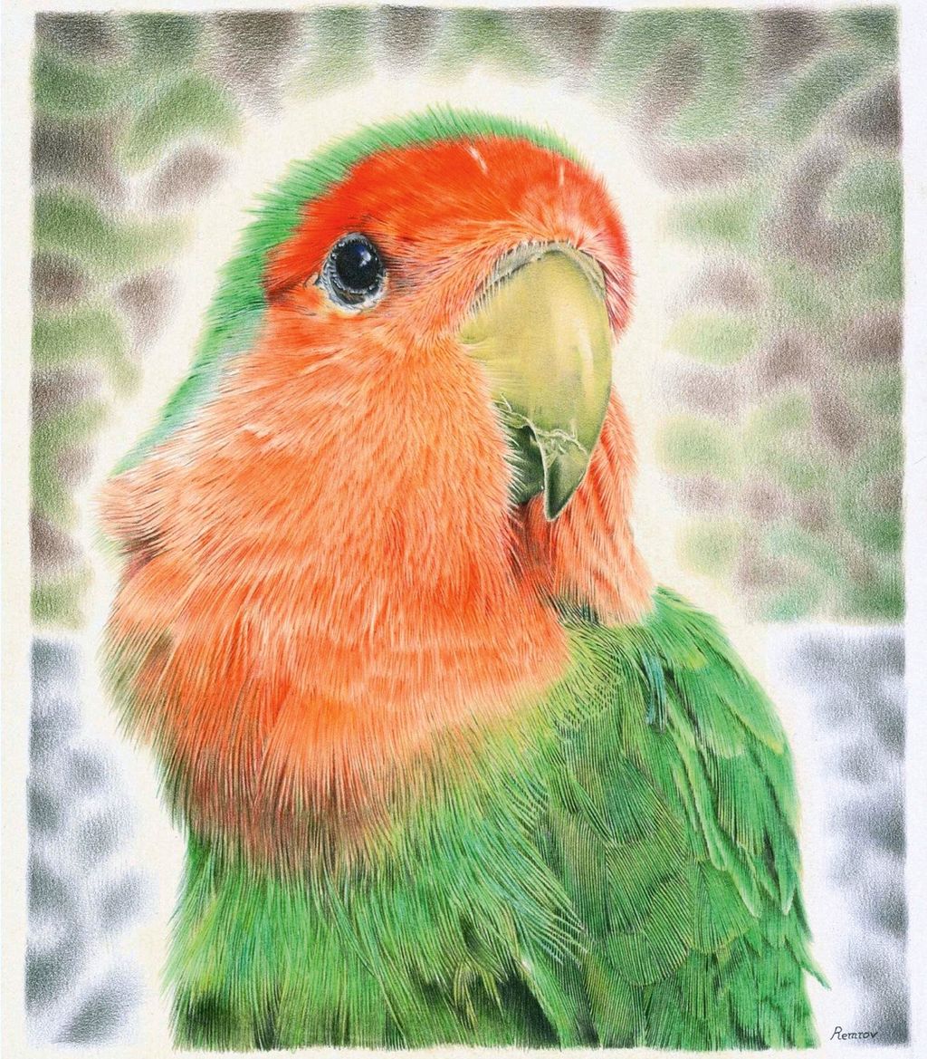 15 beautiful pencil drawings to inspire you | Creative Bloq