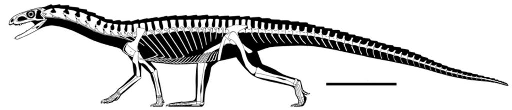 Photos: Early Dinosaur Cousin Looked Like a Croc | Live Science