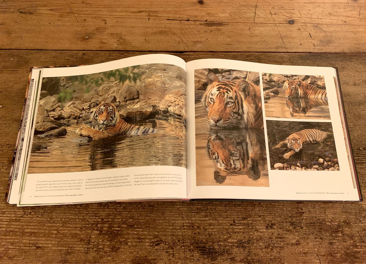 Andy Rouse photography book will delight tiger lovers | Digital Camera ...