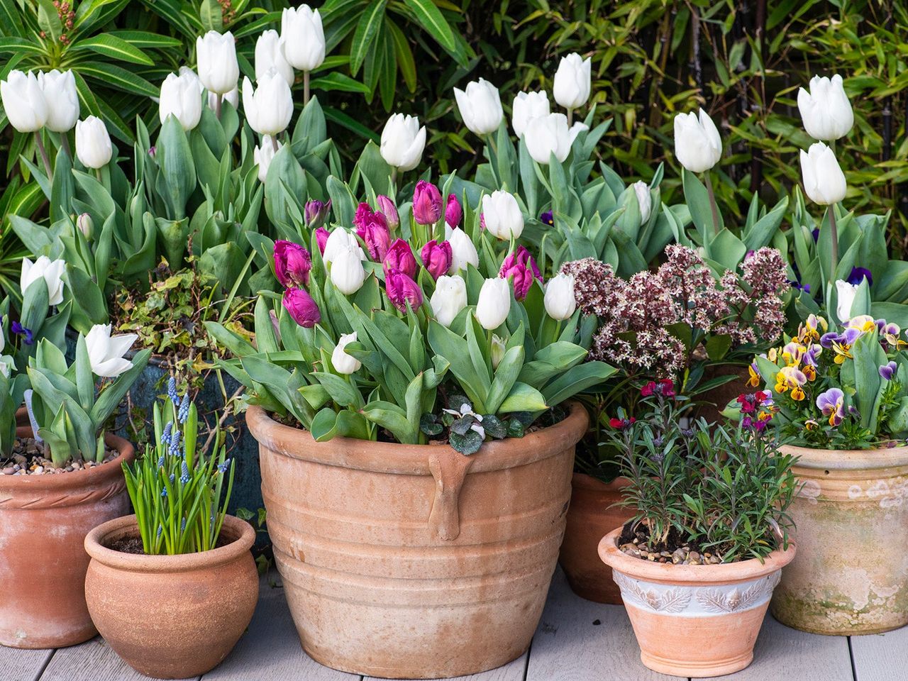 This Expert Trick To Stop Terracotta Pots Cracking Is So Simple ...