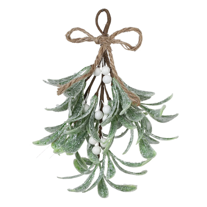 How to Grow Mistletoe — An Experts Guide | Livingetc