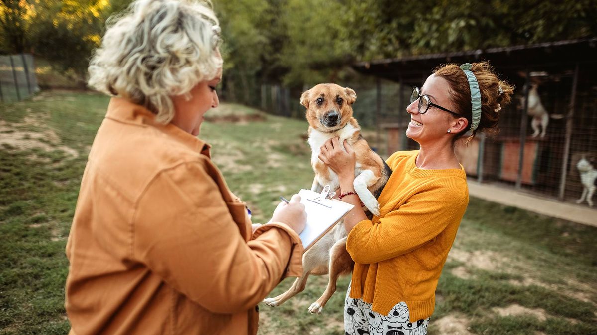 32 reasons to volunteer with an animal rescue | PetsRadar