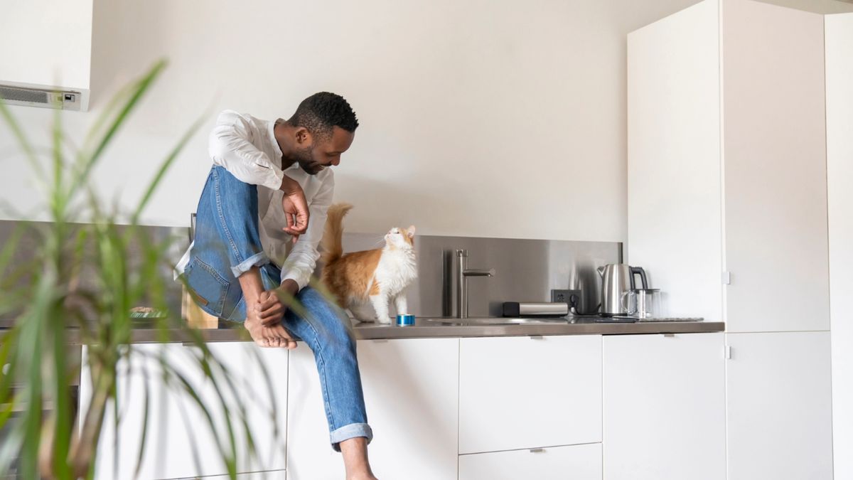 32 reasons to adopt a cat | PetsRadar