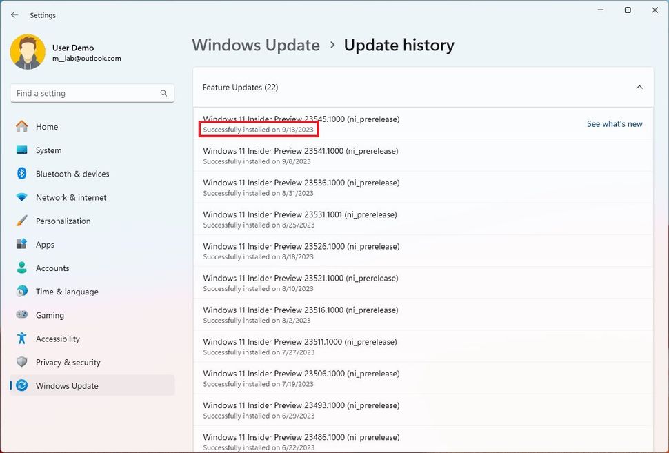Fixes for common issues with the Windows 11 Copilot update | Windows ...