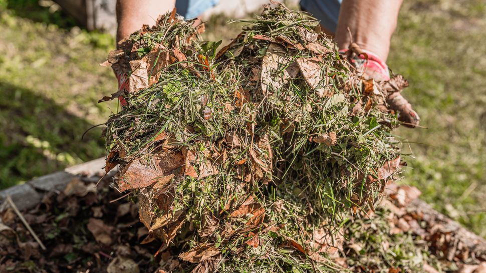 7 ways you can reuse grass clippings after mowing | Tom's Guide