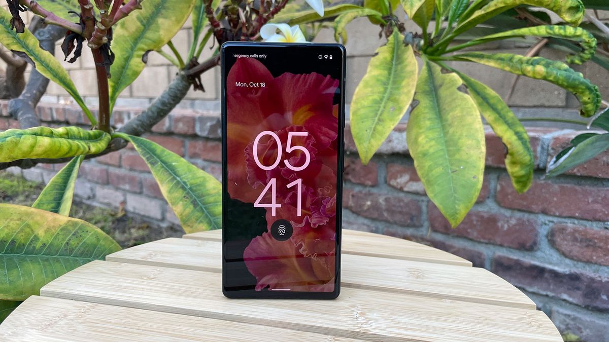 Google Pixel 6 review: redefining phone photo perfection | TechRadar