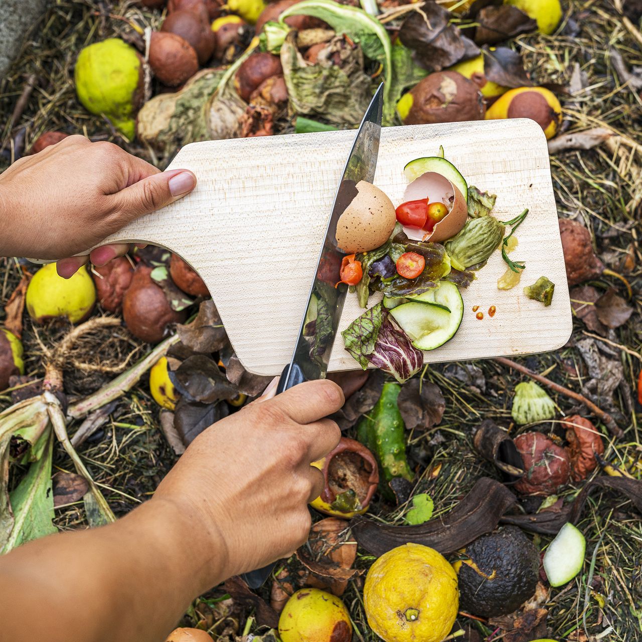 Tips & Information about Composting | Gardening Know How