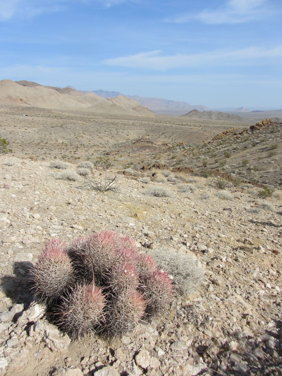 Photos: Visiting Death Valley With Mars Rover Curiosity Crew | Space