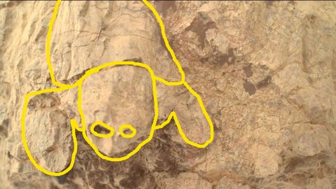NASA spots bizarre 'turtle' on Mars | Live Science