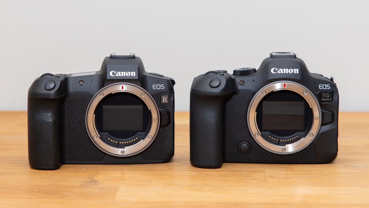 Opinion: It's time to accept that Canon's EOS R Mark II is never coming ...