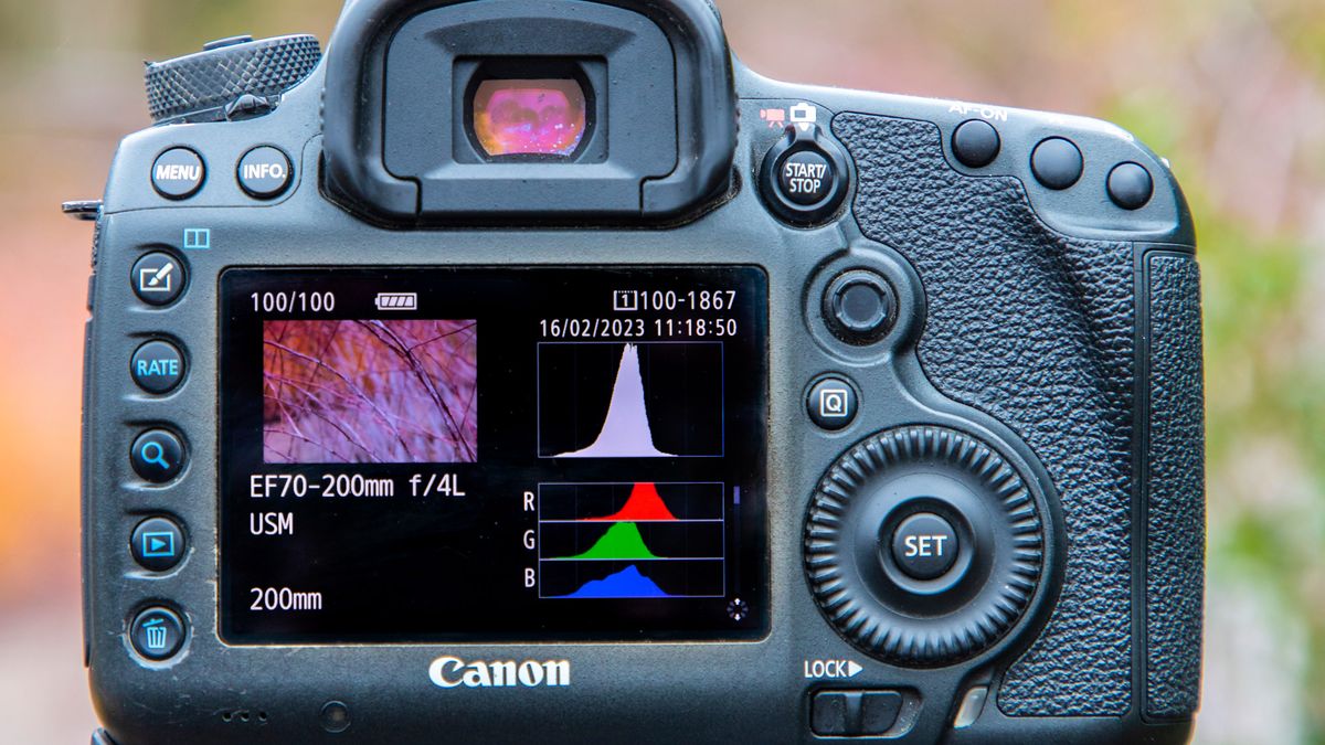10 tips for amazing close-up photos of flowers with a Canon EOS camera ...