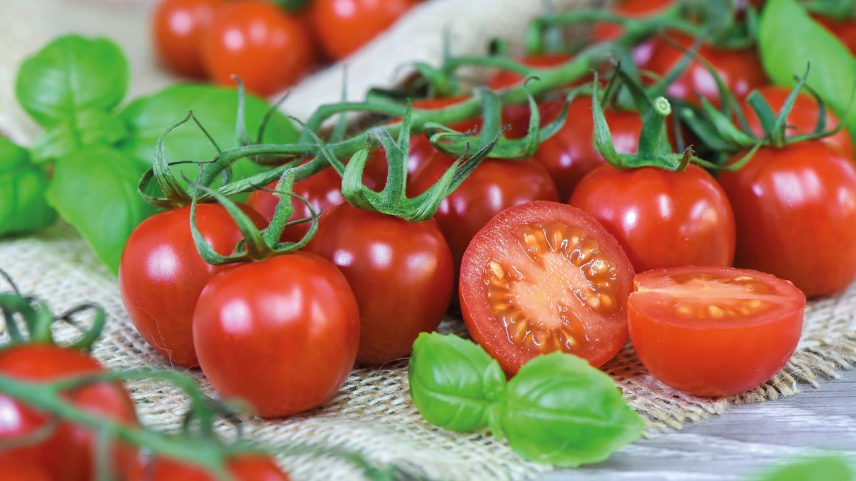 Five nutrient-rich vegetables to grow in an immunity garden | The Week