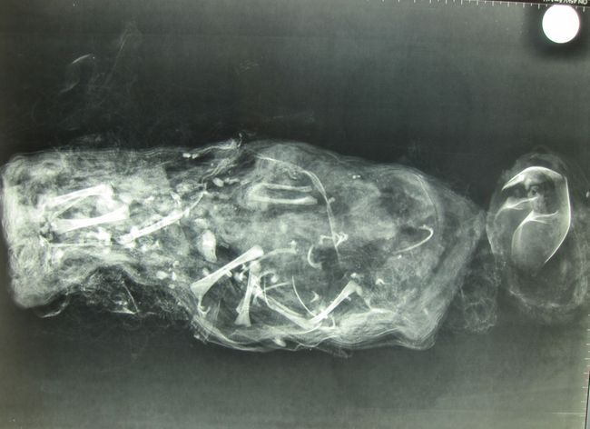 Mummified Fetus Discovered in Italy (Photos) | Live Science