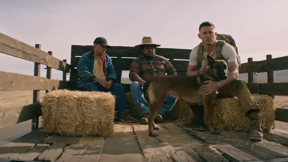 These 5 dog movies with over 80% on Rotten Tomatoes are a real treat | T3
