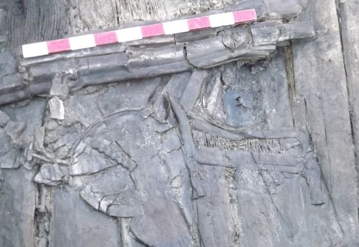 In Photos: Early Bronze Age Chariot Burial | Live Science