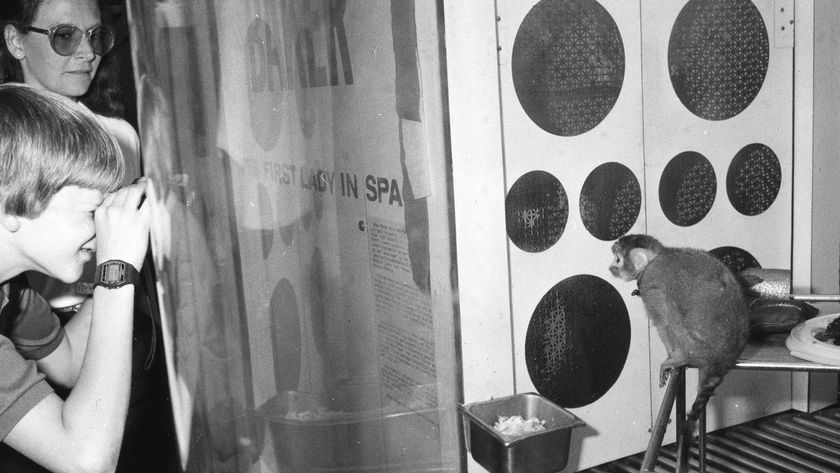 Able and Baker: The First Primates to Survive Spaceflight in Photos | Space