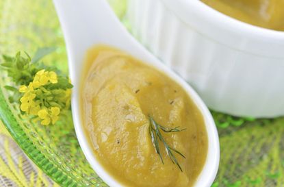 Baby food: Turkey puree Recipes | GoodTo