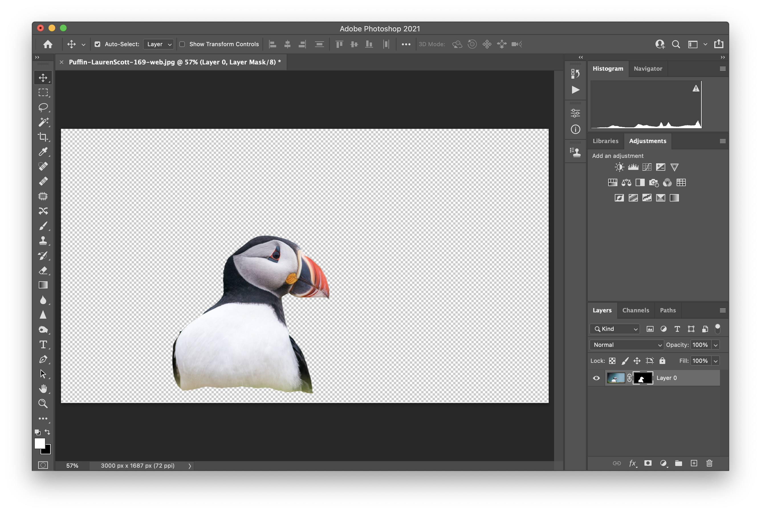 How To Remove Background In Photoshop Digital Camera World