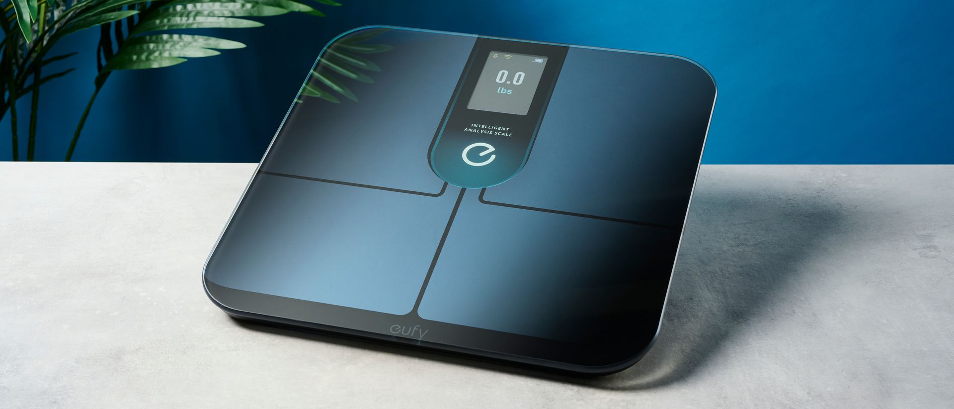 Eufy Smart Scale P3 review | Tom's Guide