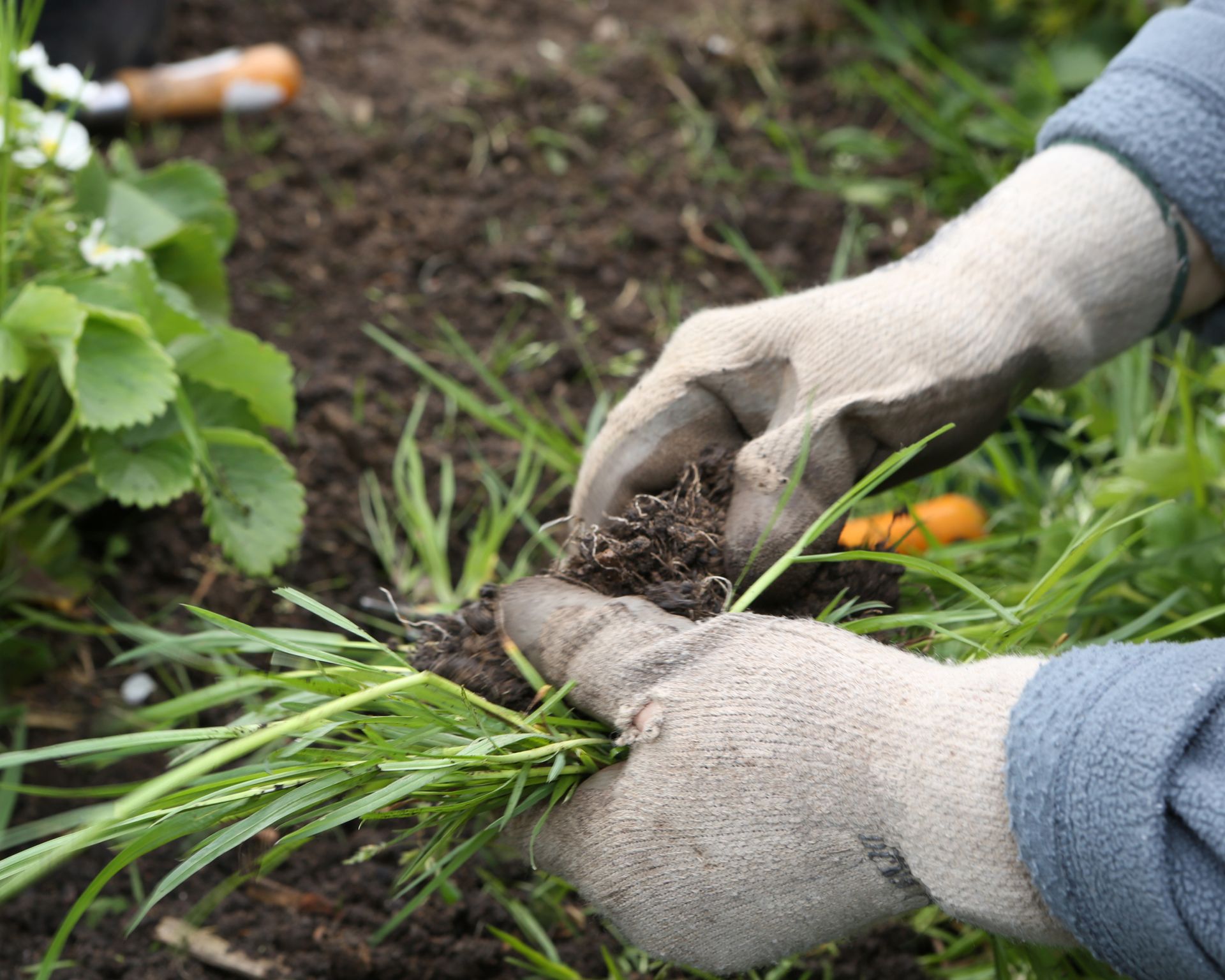 #1 Worst Weeding Mistake – Tips To Keep Weeds Under Control | Gardening ...