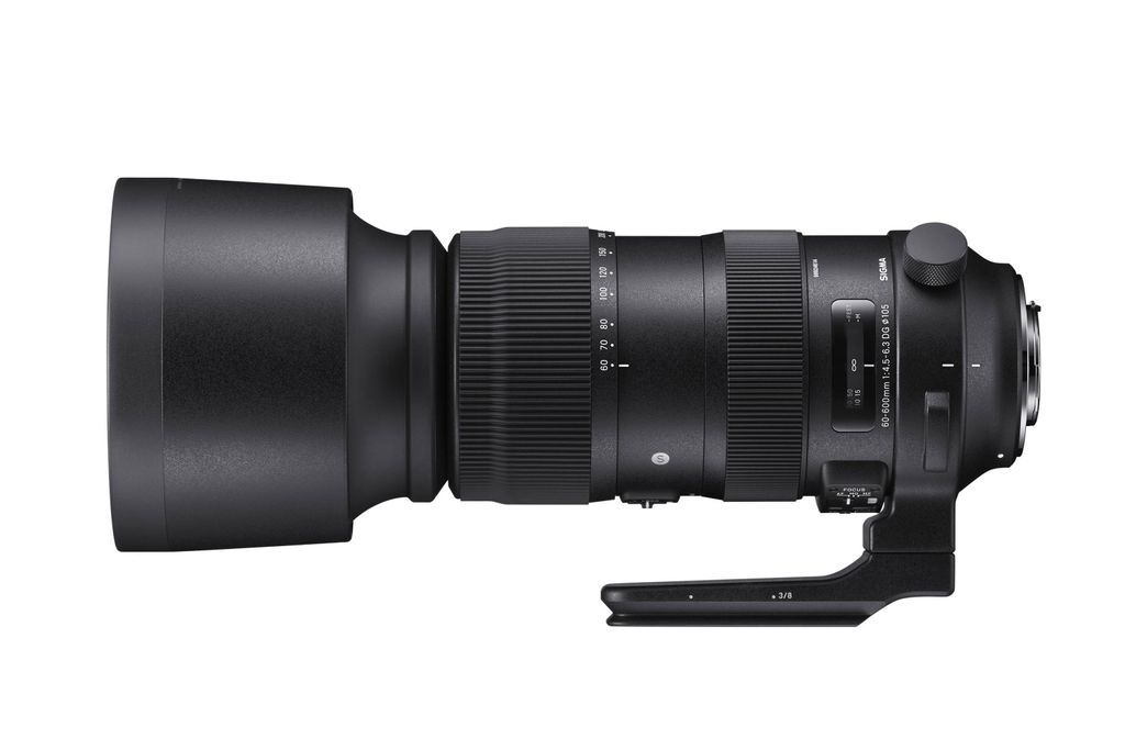 Sigma 60-600mm f/4.5-6.3 DG OS HSM Sport review | Digital Camera World