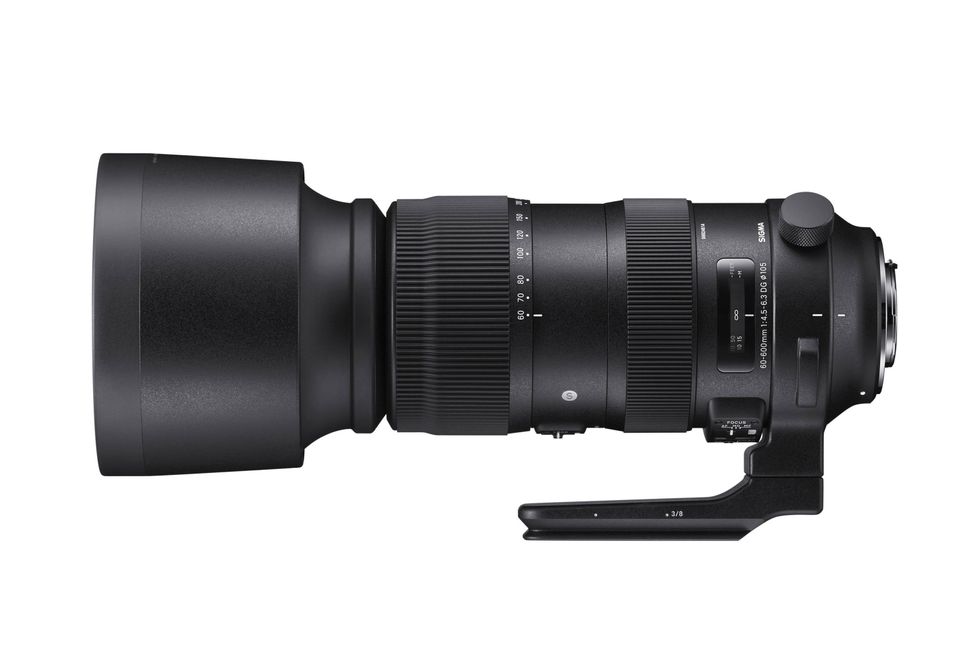 Sigma 60-600mm f/4.5-6.3 DG OS HSM Sport review | Digital Camera World