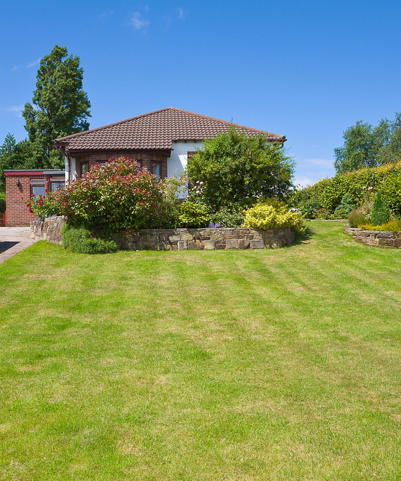 These are the worst garden trends that we'd like to see the back of ...