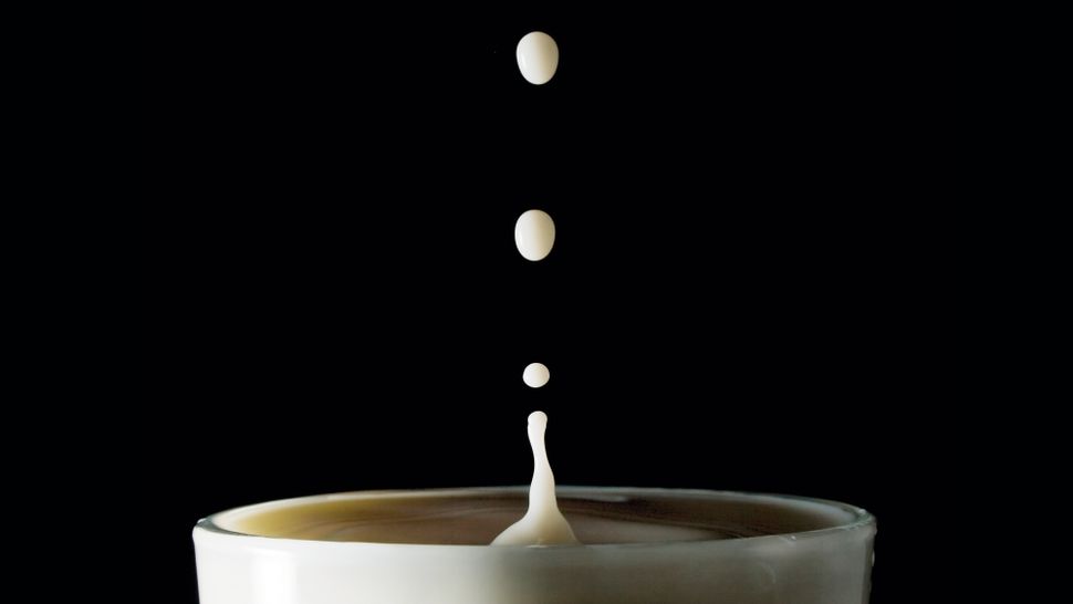 26 camera effects – from A to Z | Digital Camera World