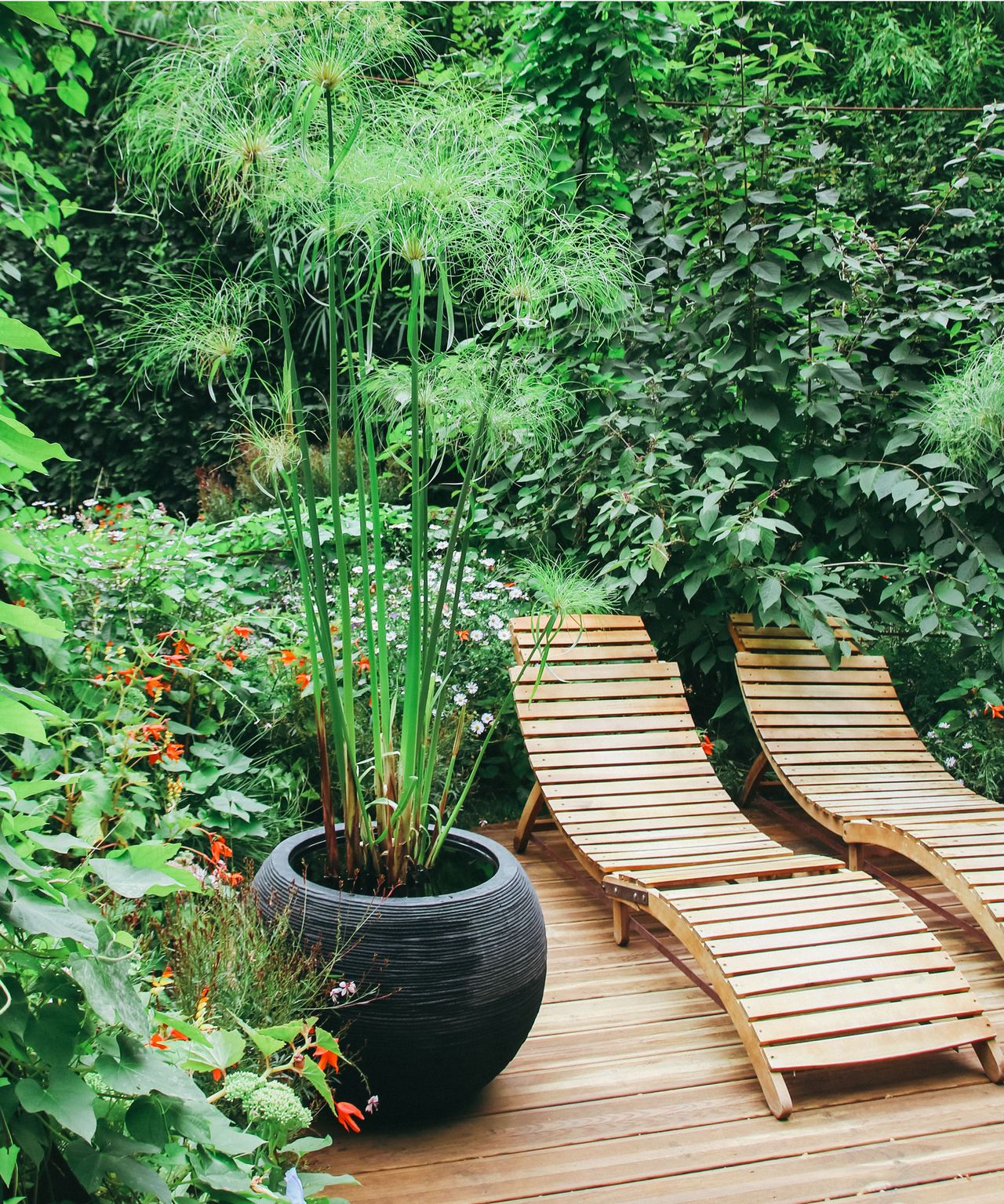 Landscape experts share the secrets to creating an urban Zen garden ...