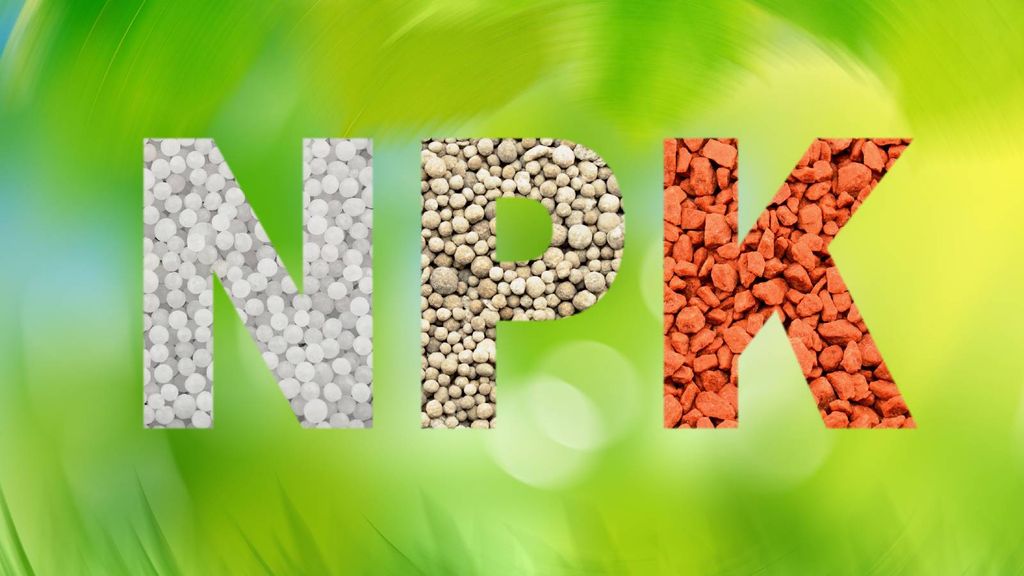 NPK Explainer - Here's What Those Fertilizer Numbers Mean | Gardening ...