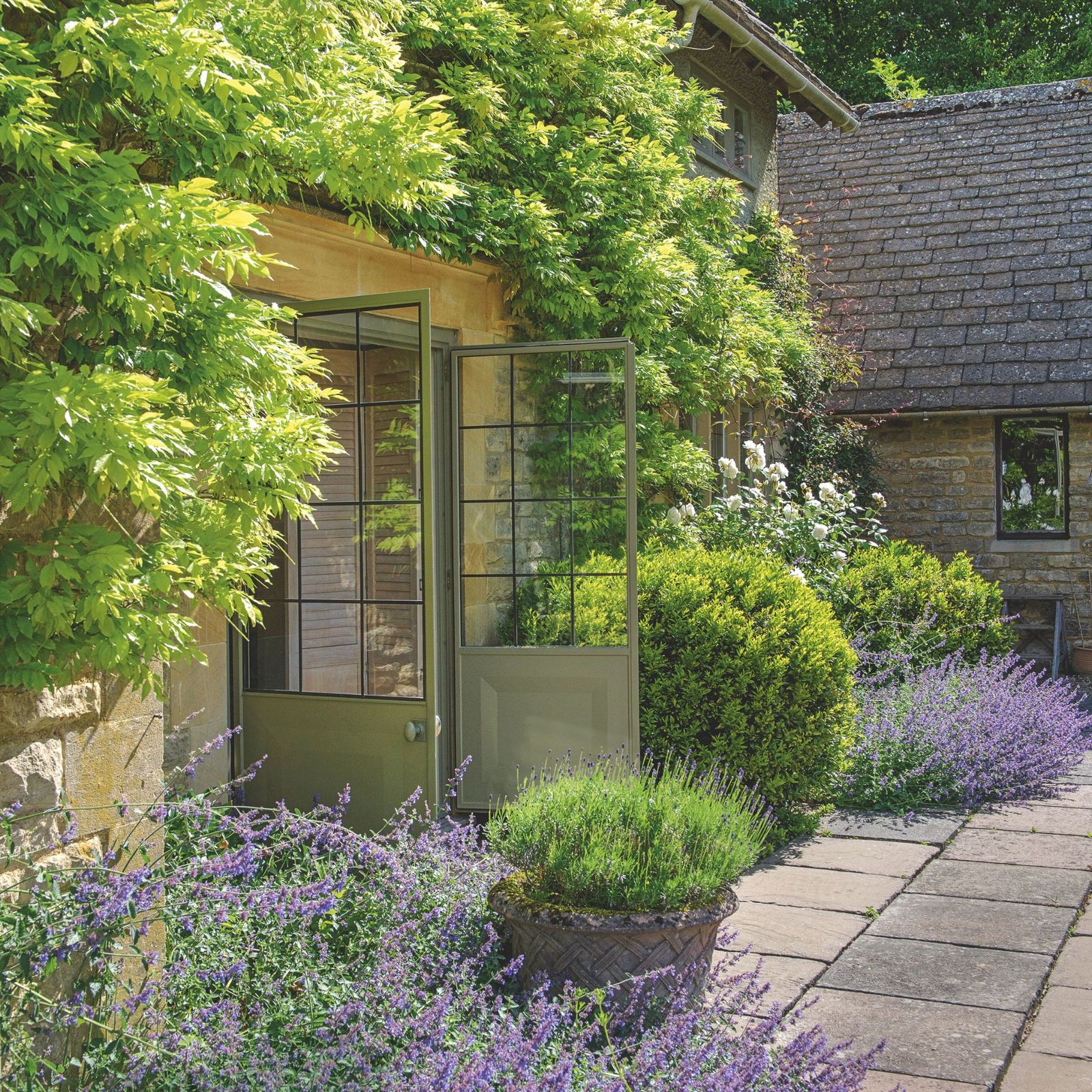 5 fragrant shrubs that will fill your garden with gorgeous scent ...