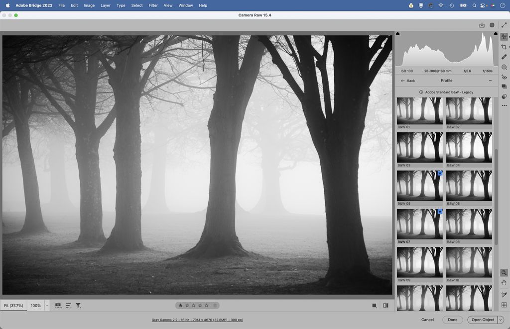 Mist opportunities! How to take top landscape photos in mist and fog ...