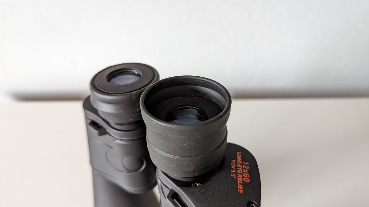 Celestron Skymaster 12x60 binocular review | Live Science