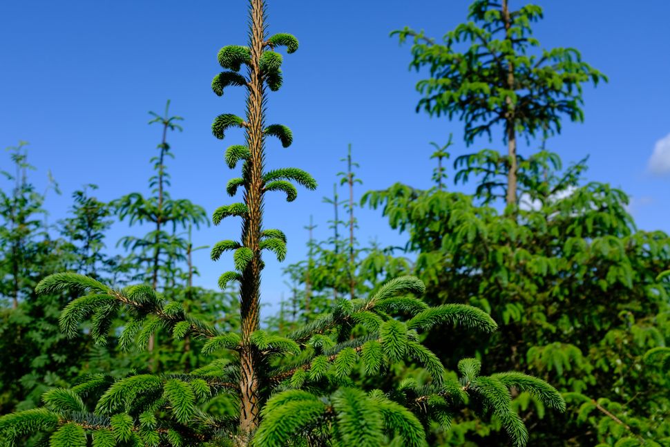 10 tips on getting the best out of your Canon camera | Digital Camera World