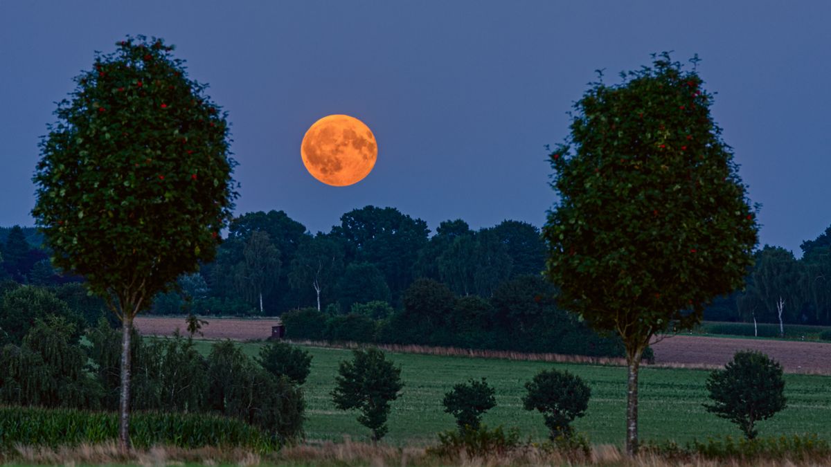 Astrophotography in May 2026: get your camera ready to photograph ...
