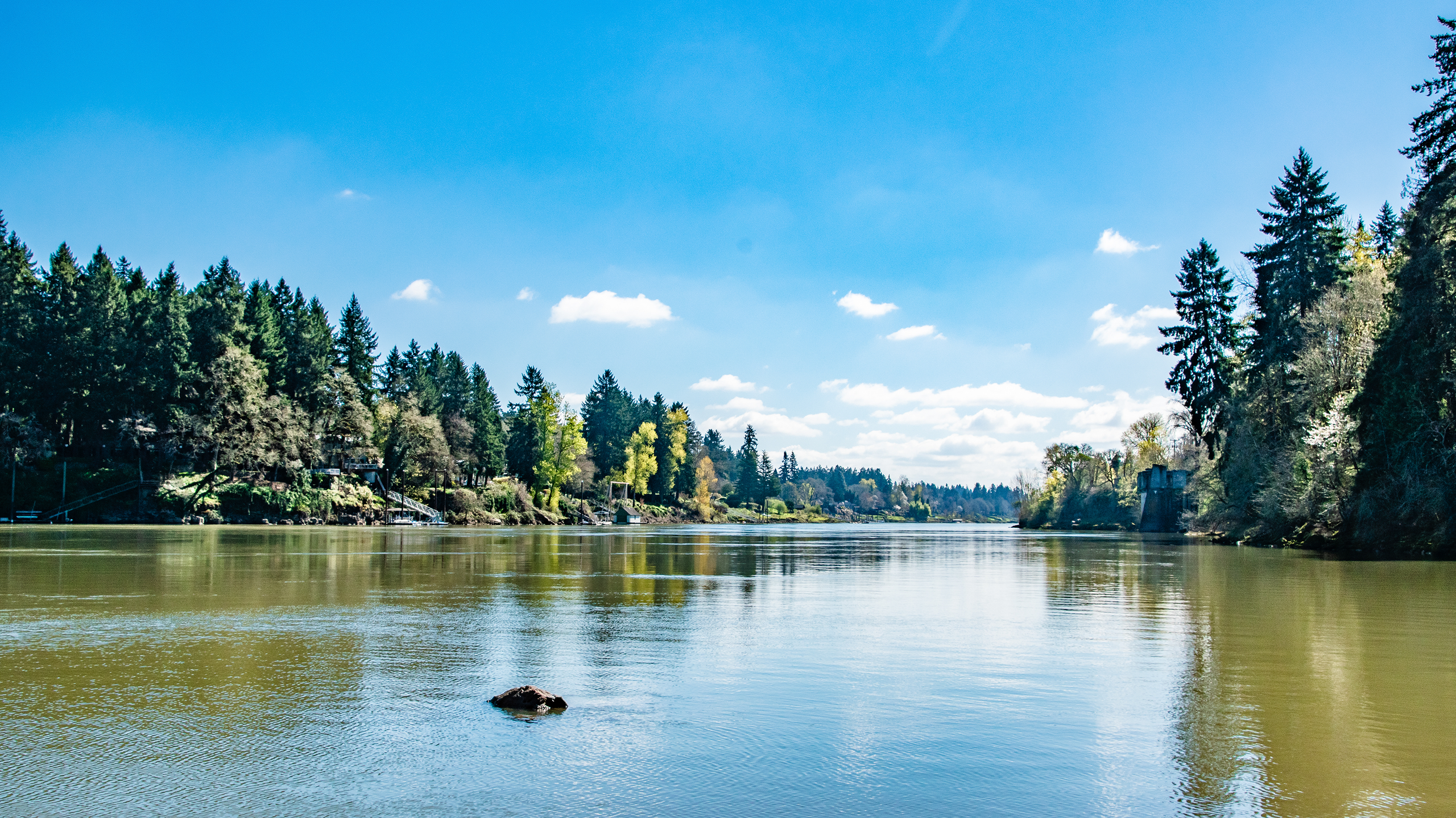 Open water swimmers in Oregon can soon take a dip in serene Lake Oswego ...