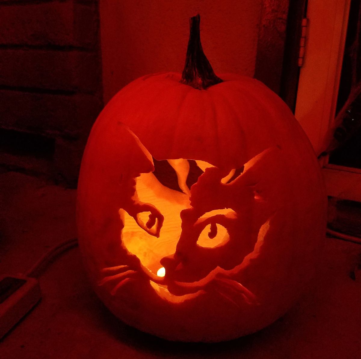 14 cat pumpkin carving ideas for the purrfect jack-o’-lantern | PetsRadar