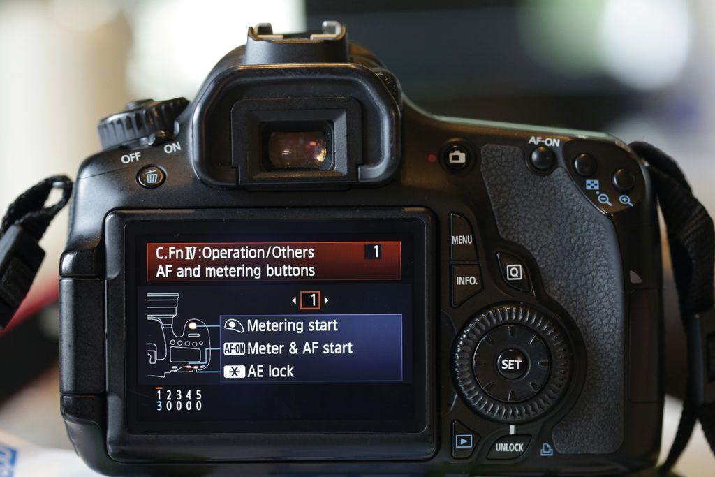 Home photography ideas: Bird photos from your kitchen window! | Digital ...