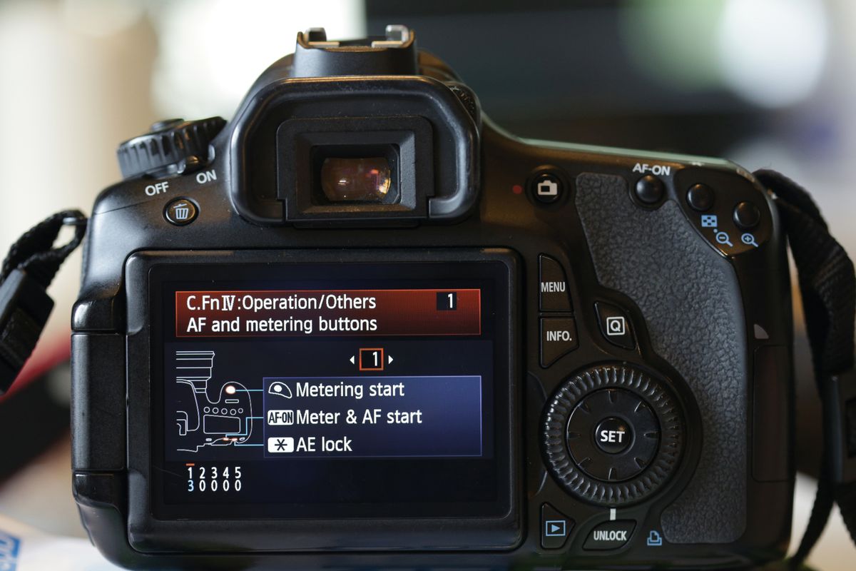 Home photography ideas: Bird photos from your kitchen window! | Digital ...