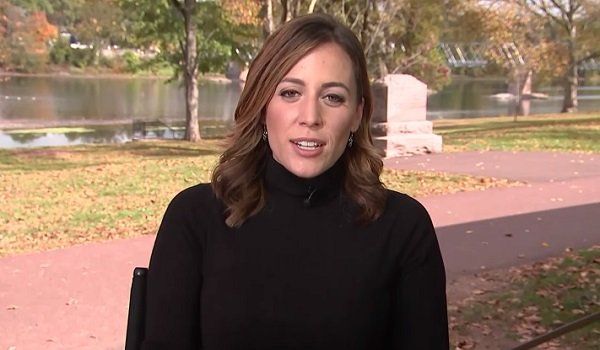 MSNBC Reporter Had Her Broadcast Crashed By Dinosaurs, Check It Out ...