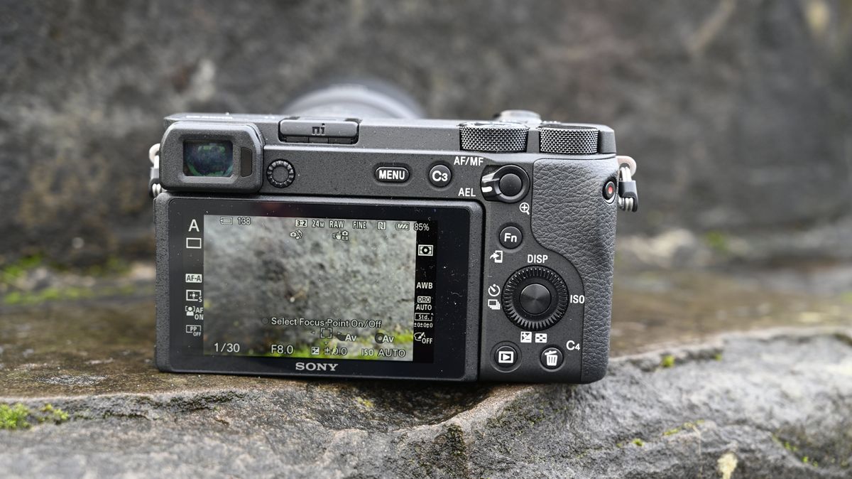 Sony A6600 | TechRadar