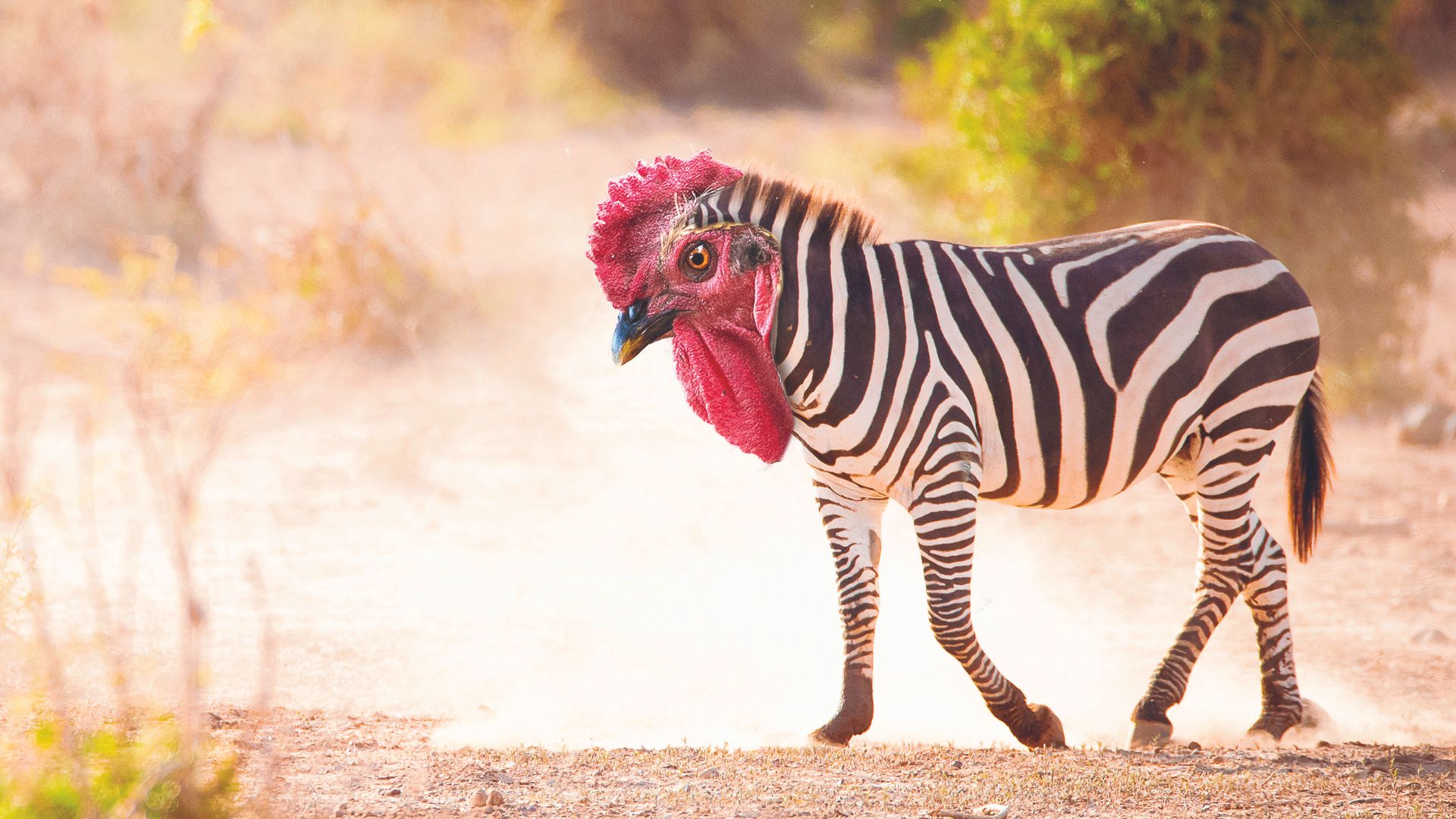 Create mythical beasts in Photoshop and learn essential compositing ...