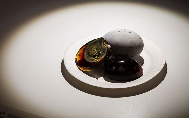 15 'Disgusting' Foods That Will Have Your Taste Buds Begging for Mercy ...