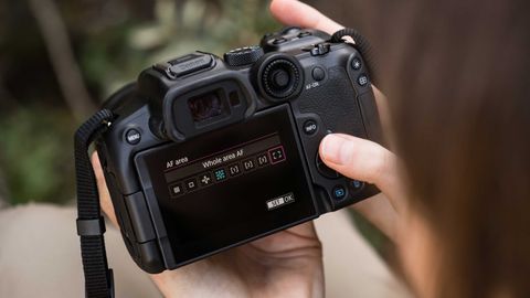 Canon EOS R10 vs EOS R7: how do you choose which one to get? | Digital ...