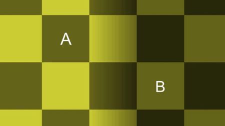 Mind-boggling horse optical illusion stumps the internet | Creative Bloq