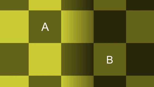 Mind-boggling horse optical illusion stumps the internet | Creative Bloq