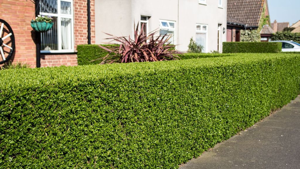 32 inspiring fence ideas - from bohemian bamboo to sturdy cement ...