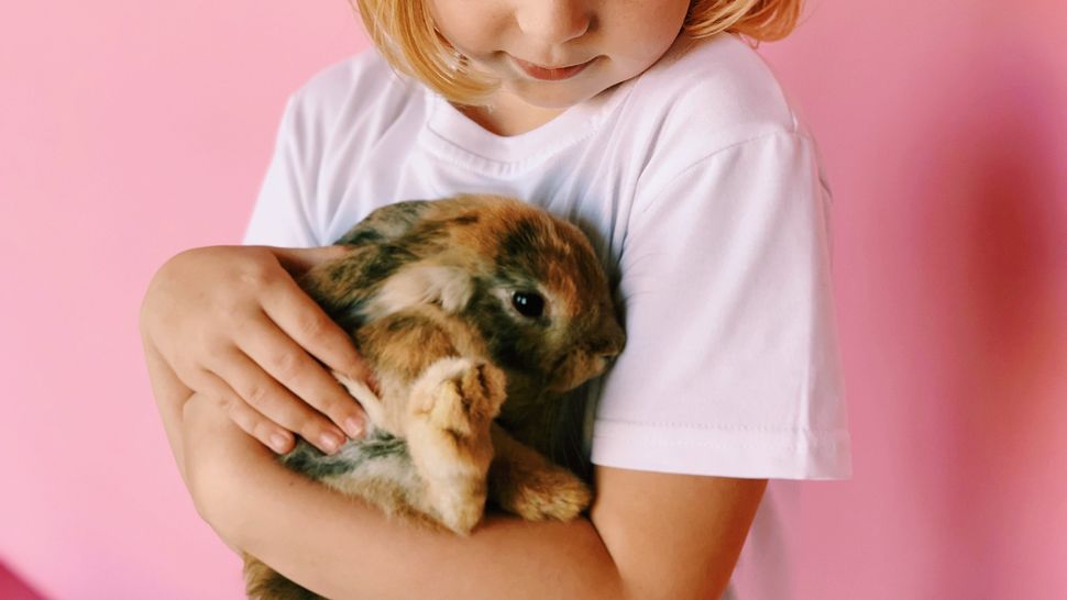 What are the best small pets? | PetsRadar