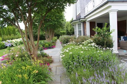 Tree landscaping ideas for planting a beautiful space | Livingetc
